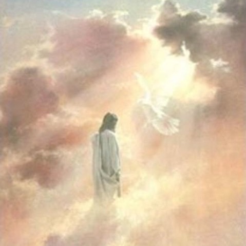 May 1st Ascension by Xang (Album): Reviews, Ratings, Credits, Song list ...