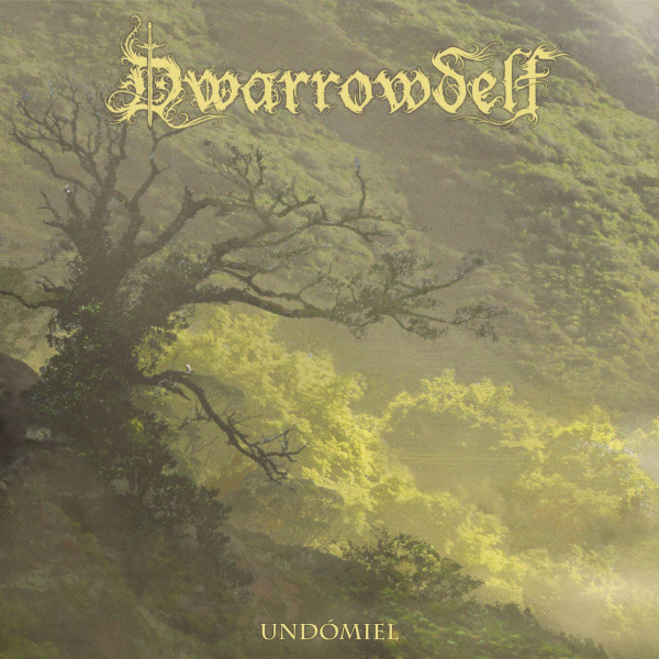 Undómiel by Dwarrowdelf (Single): Reviews, Ratings, Credits, Song list ...