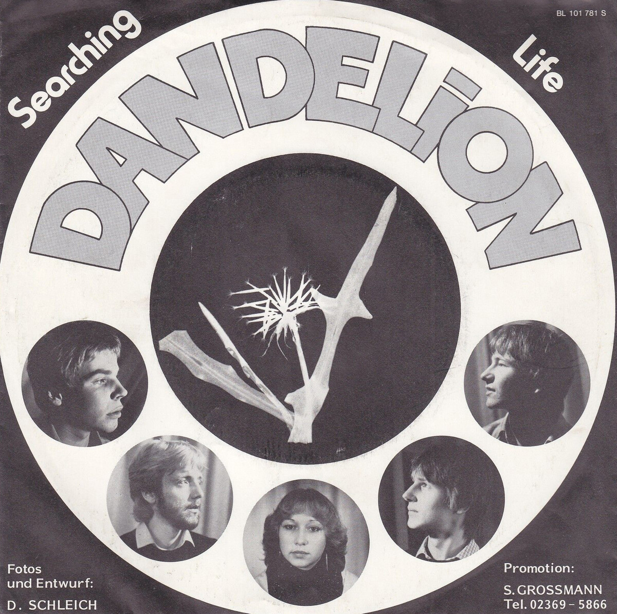 Dandelion Albums: songs, discography, biography, and listening guide ...