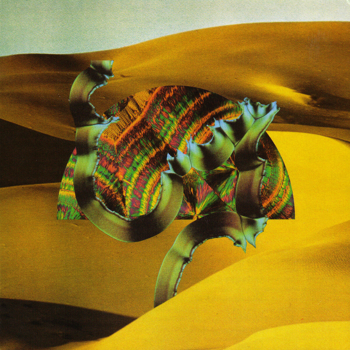 Django Django Albums: songs, discography, biography, and listening ...