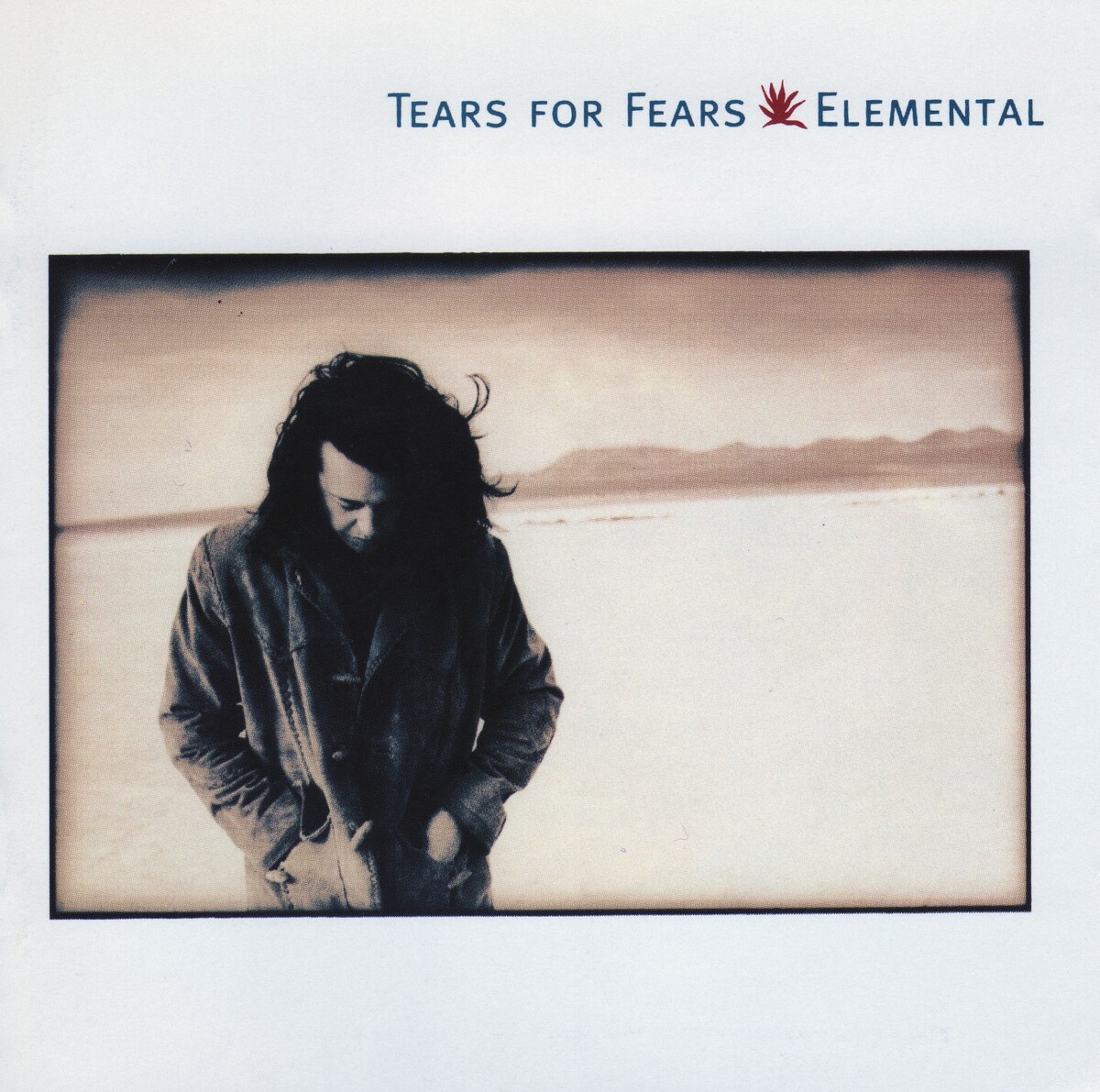 Elemental by Tears for Fears (Album; Mercury; 314 514 875-2): Reviews ...