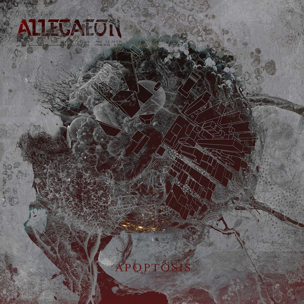 Allegaeon Albums: songs, discography, biography, and listening guide ...