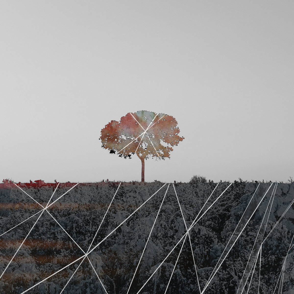 Grand Decay by Yarborough (Album): Reviews, Ratings, Credits, Song list ...