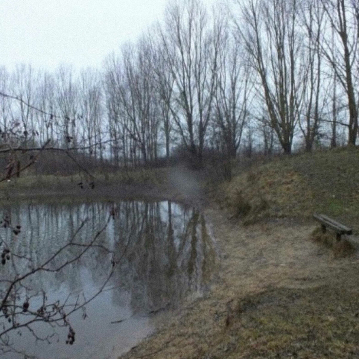 Swamp by Freight (Single): Reviews, Ratings, Credits, Song list - Rate ...