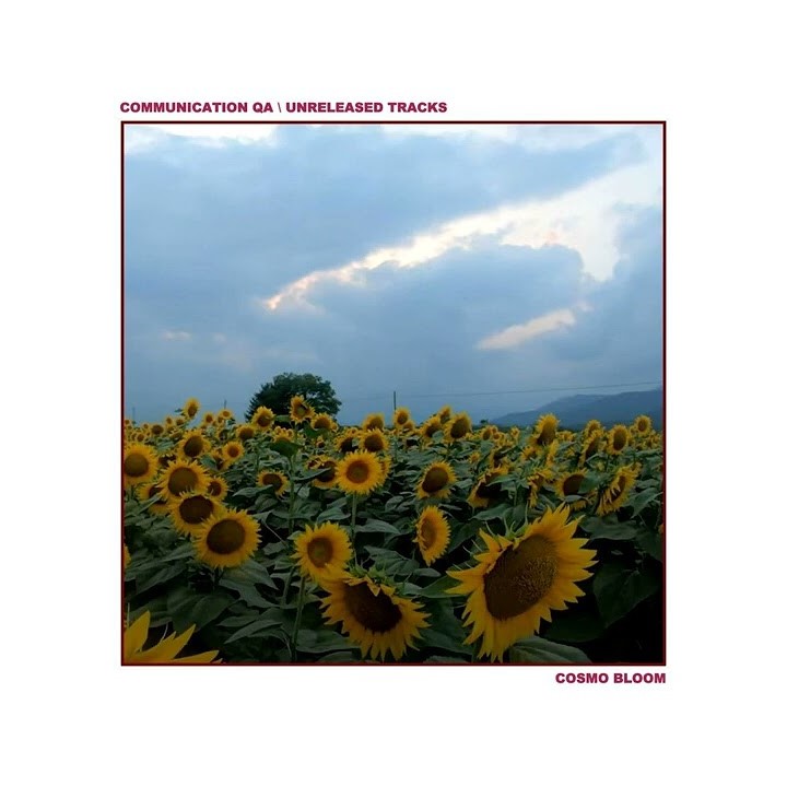 Communication QA \ Unreleased Tracks by Cosmo Bloom (Album): Reviews ...