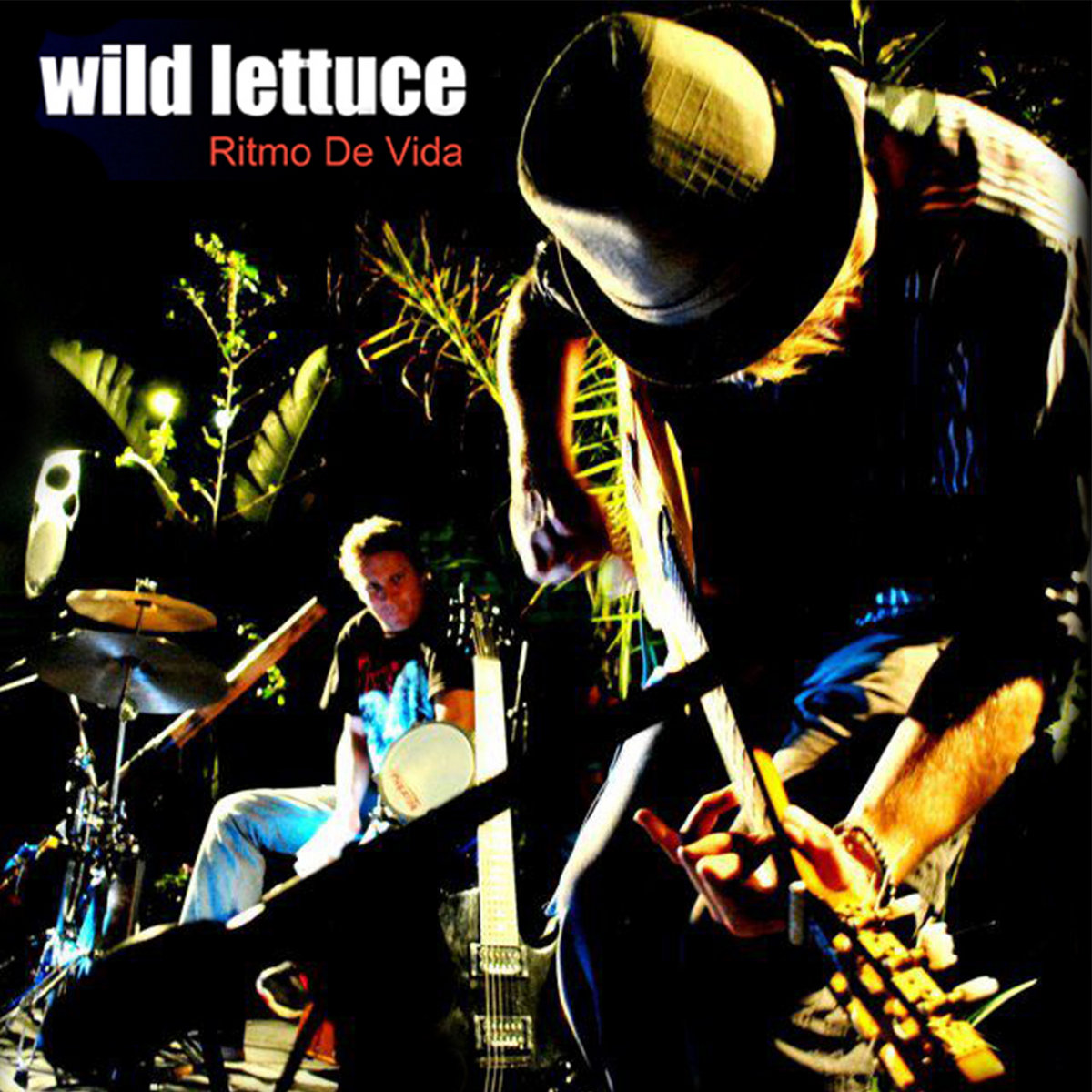 Ritmo De Vida by Wild Lettuce (Album): Reviews, Ratings, Credits, Song ...