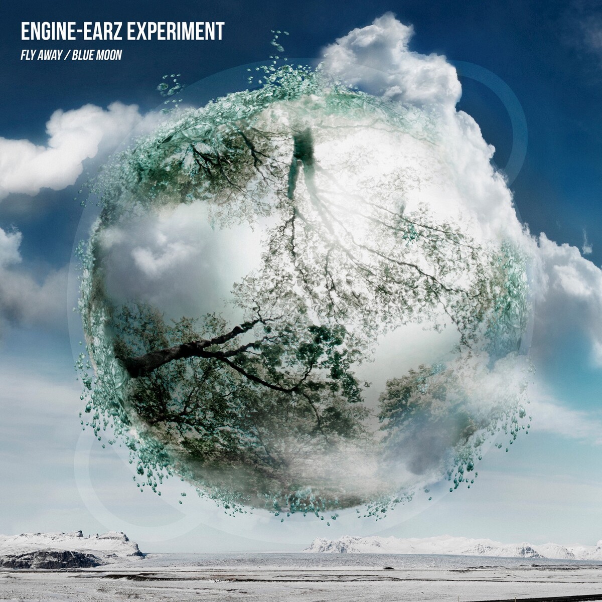 Fly Away / Blue Moon by Engine-Earz Experiment (Single): Reviews ...