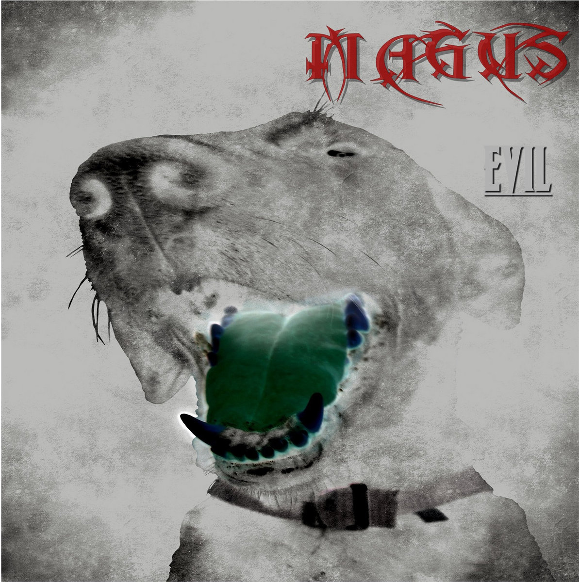 Magus Albums: songs, discography, biography, and listening guide - Rate ...