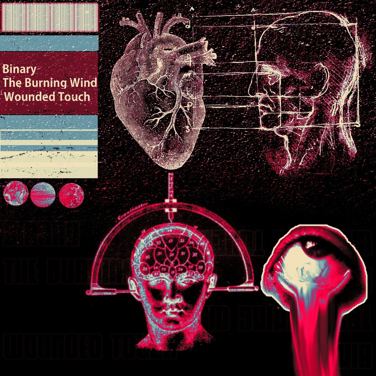 Wounded Touch Albums: songs, discography, biography, and listening ...