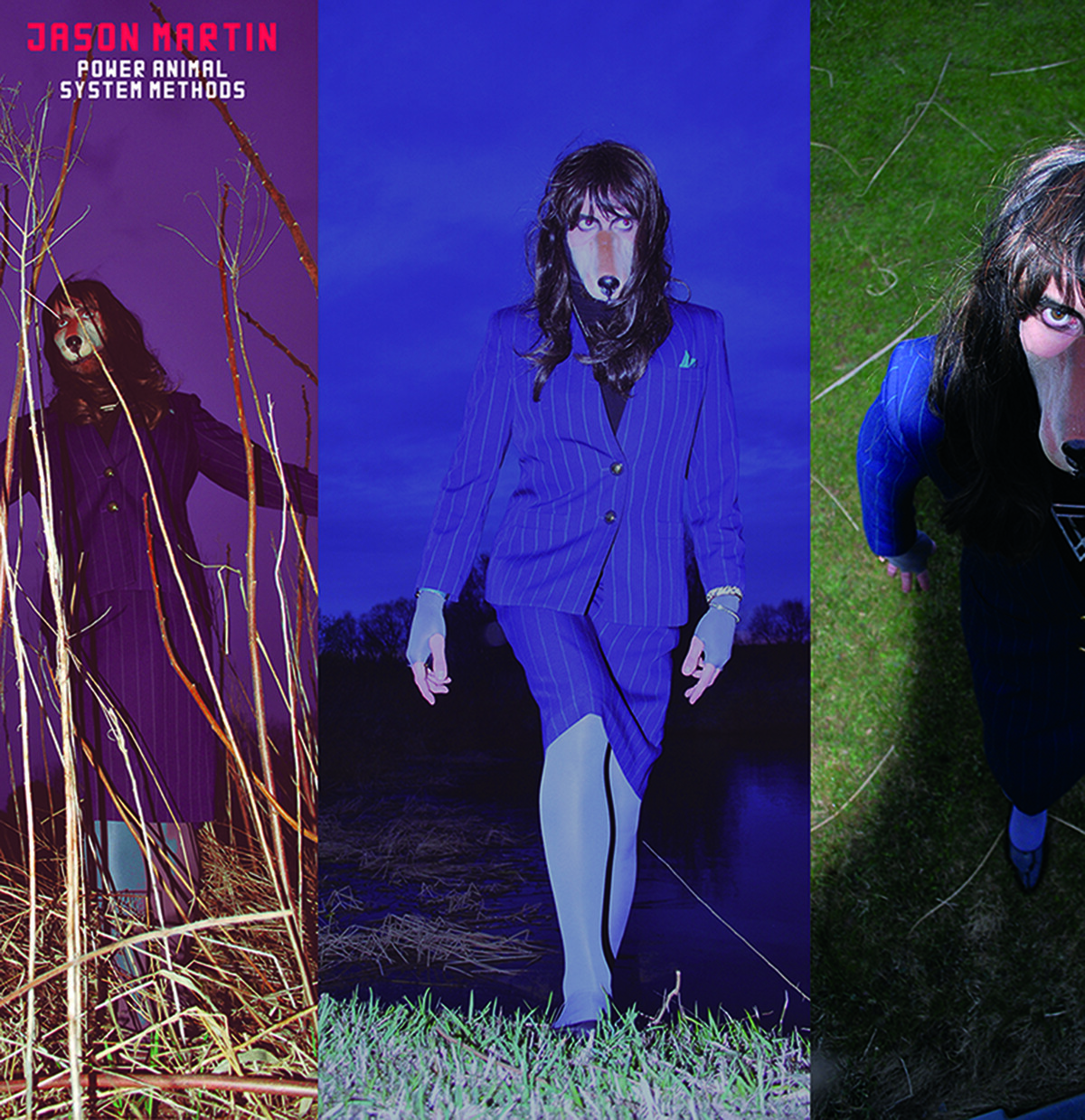 Power Animal System Methods by Jason Martin (Album): Reviews, Ratings ...