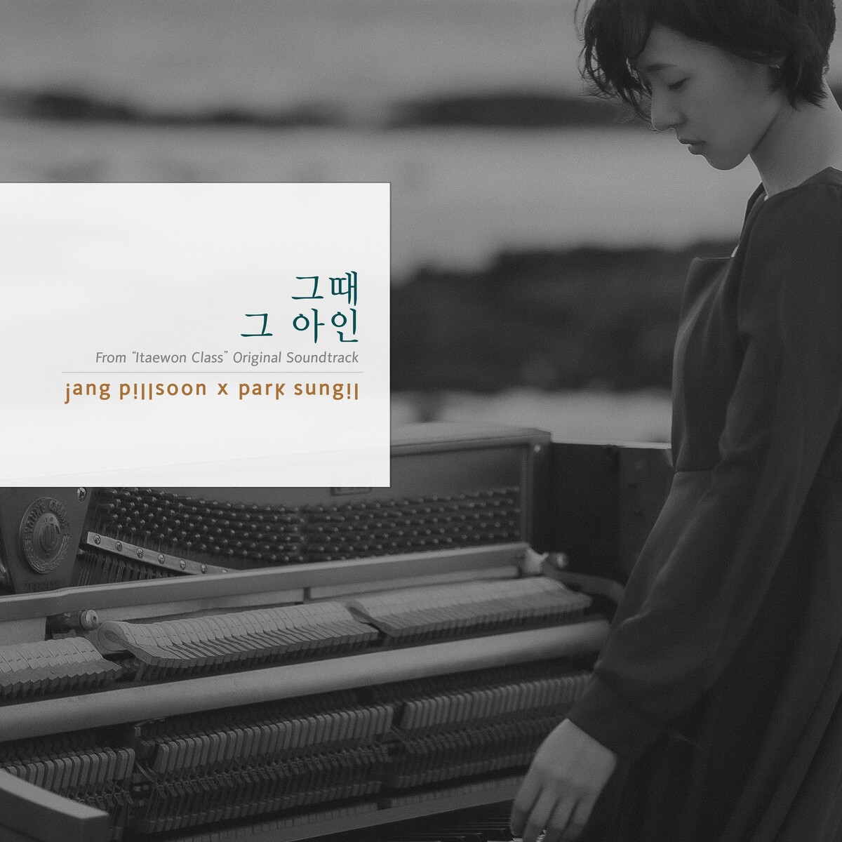 Someday, the Boy by 박성일 [Park Sung Il] & 장필순 [Jang Pil-soon] (Single ...