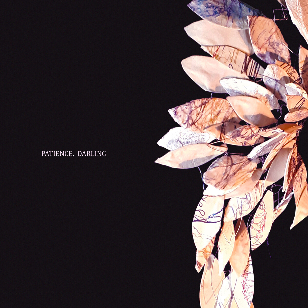 Patience, Darling by NineByNine (Single): Reviews, Ratings, Credits, Song list - Rate Your Music