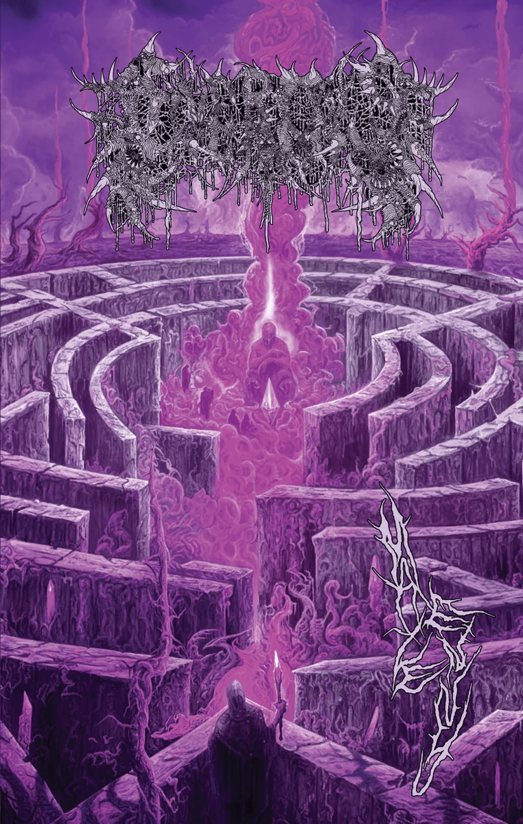 Maze Envy by Civerous (Album; 20 Buck Spin; SPIN180): Reviews, Ratings ...