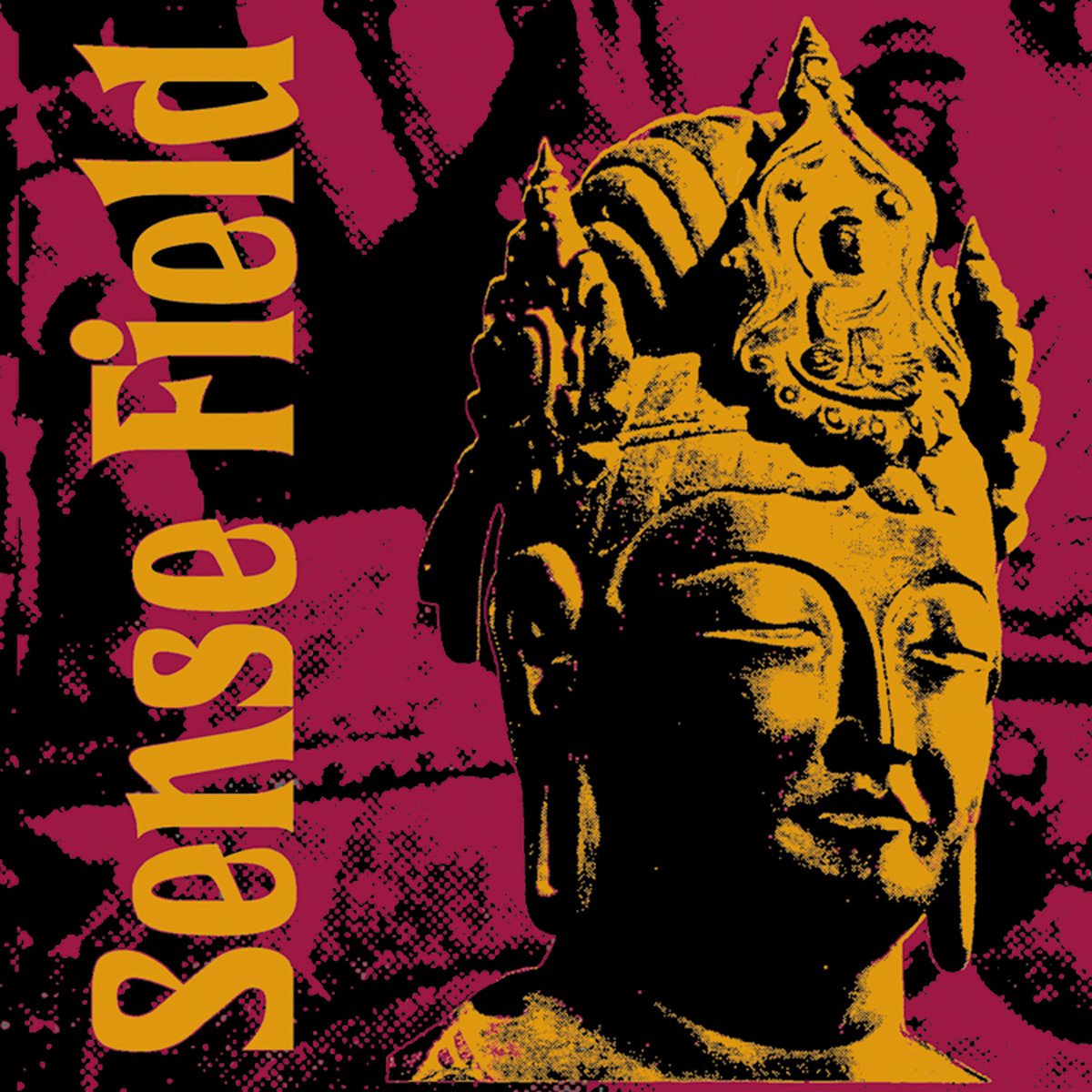 Sense Field by Sense Field (Compilation; Revelation): Reviews, Ratings ...