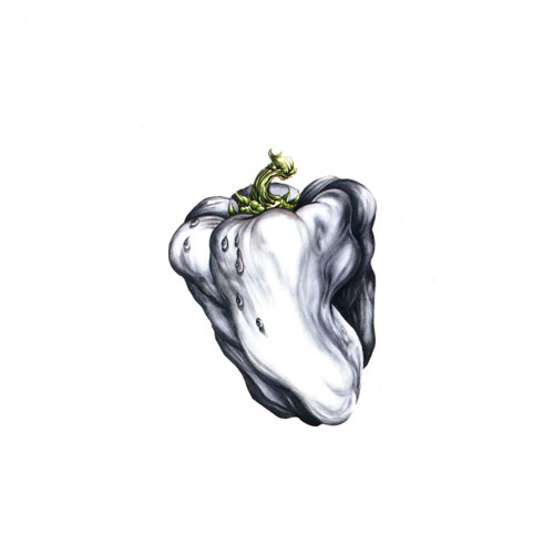 Best Jangle Pop songs of the 2000s - Rate Your Music