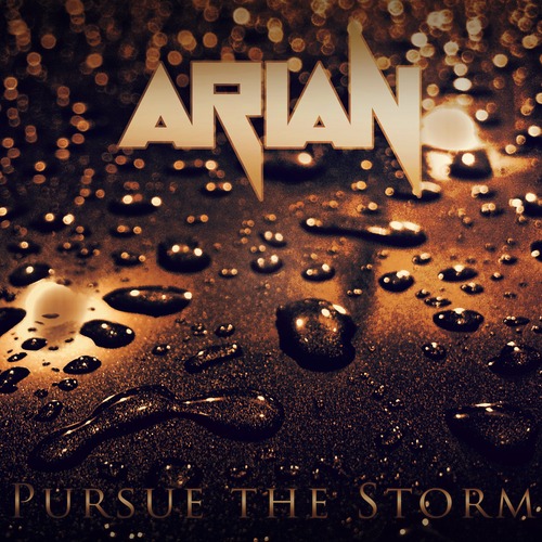 Pursue the Storm by Arian (Single): Reviews, Ratings, Credits, Song ...