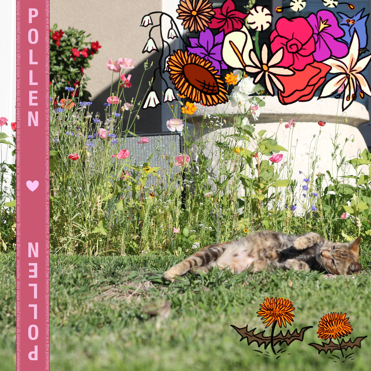 Pollen by Pollen (Album): Reviews, Ratings, Credits, Song list - Rate ...