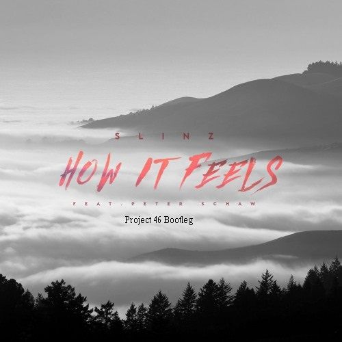 How It Feels (Project 46 Remix) by Slinz (Single): Reviews, Ratings ...