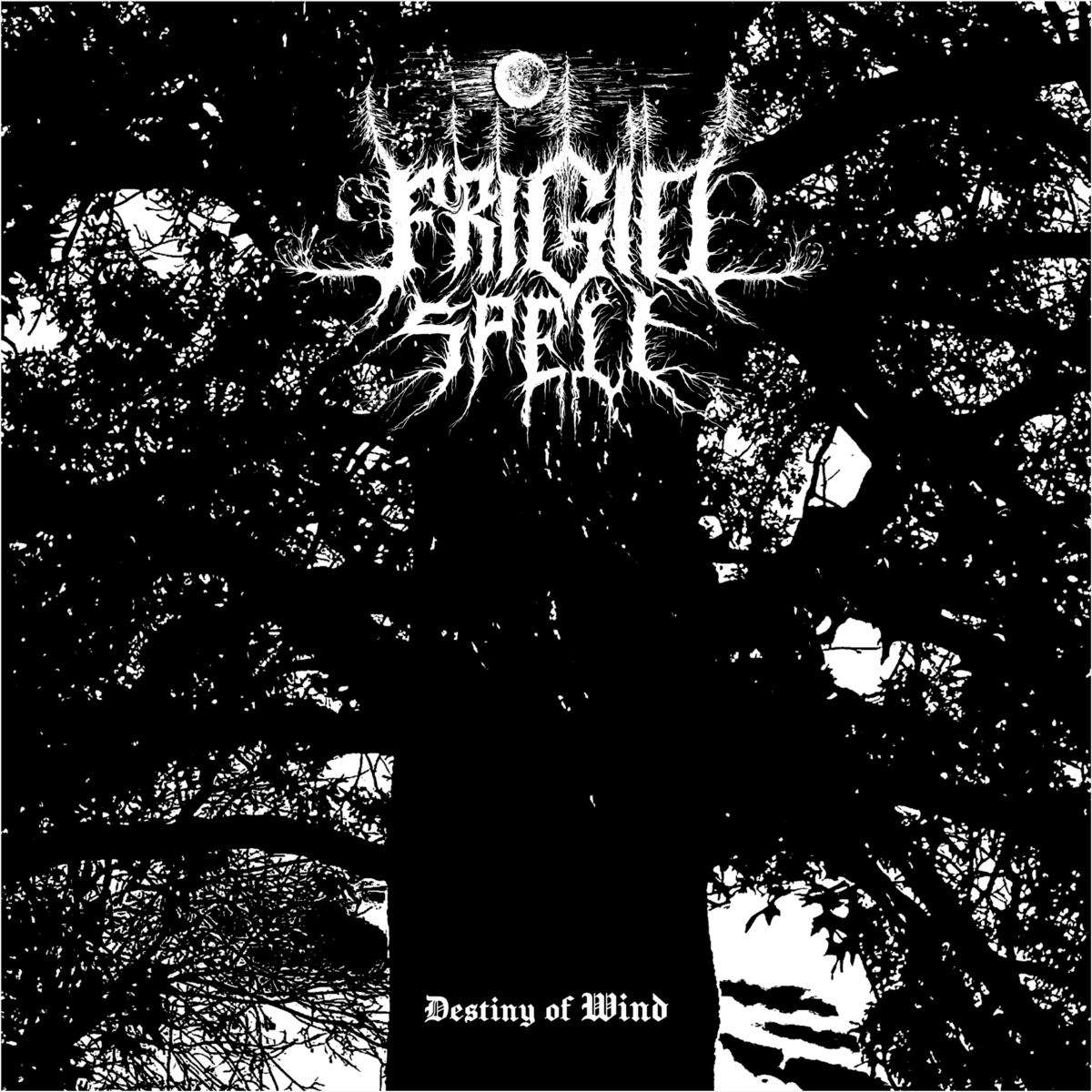 Destiny of Wind by Frigid Spell (Single): Reviews, Ratings, Credits ...