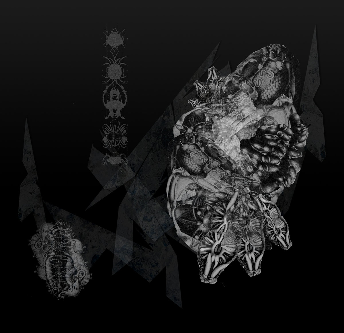 Æthereal Arthropod Albums: songs, discography, biography, and listening ...