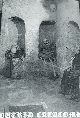 Blood Scroll Albums: songs, discography, biography, and listening guide ...