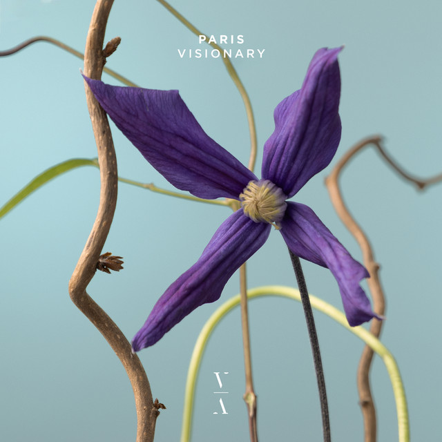 Visionary by PARIS (Single, Melodic Techno): Reviews, Ratings, Credits ...