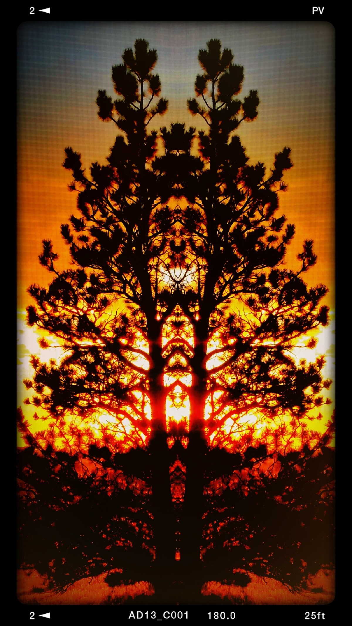 Where Autumns Fall by Rik Johnson (Album): Reviews, Ratings, Credits ...