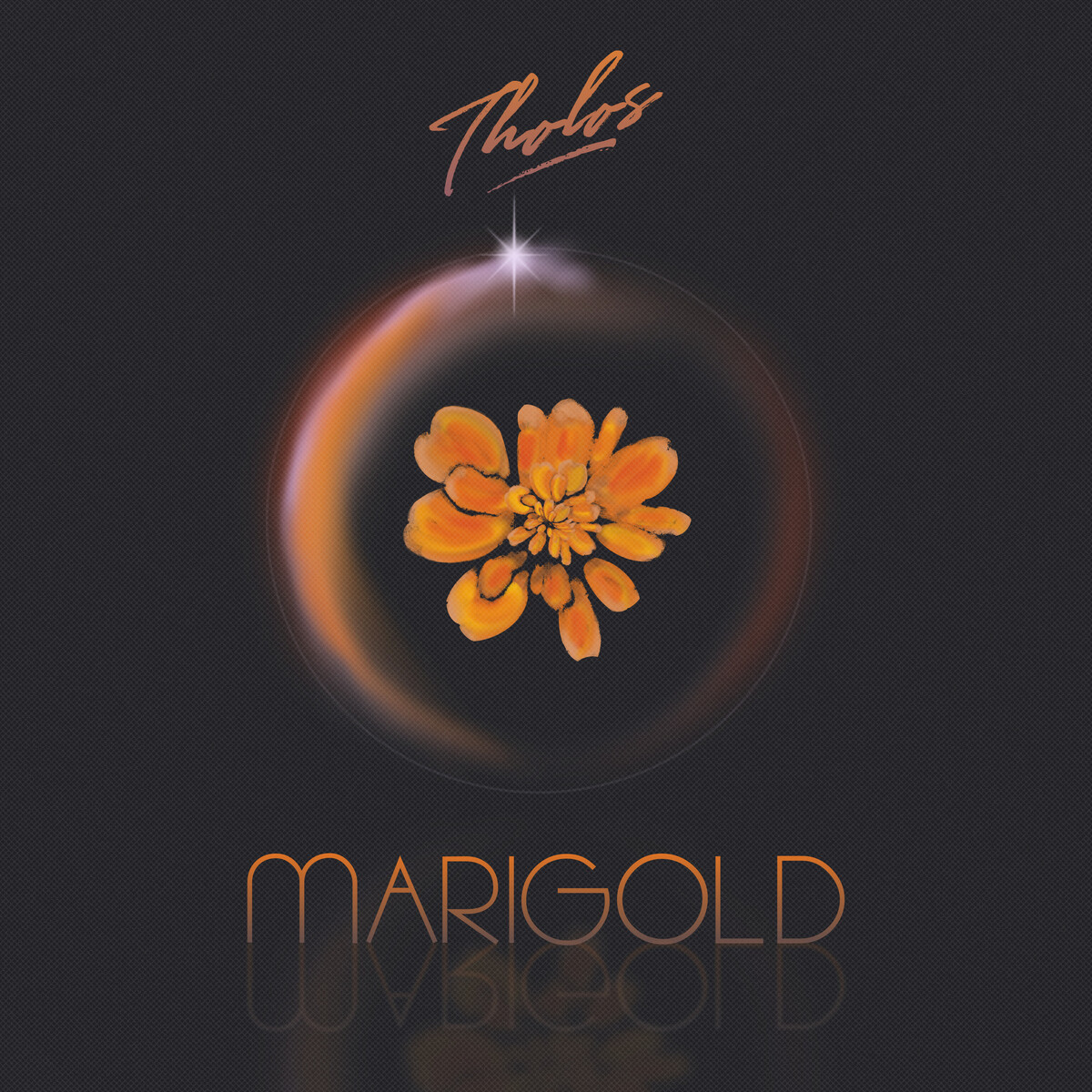 Marigold by Tholos (Single, Chillsynth): Reviews, Ratings, Credits ...