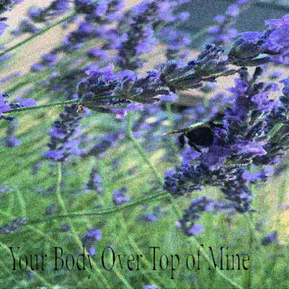 Your Body Over Top of Mine by Live Happily (Single): Reviews, Ratings ...
