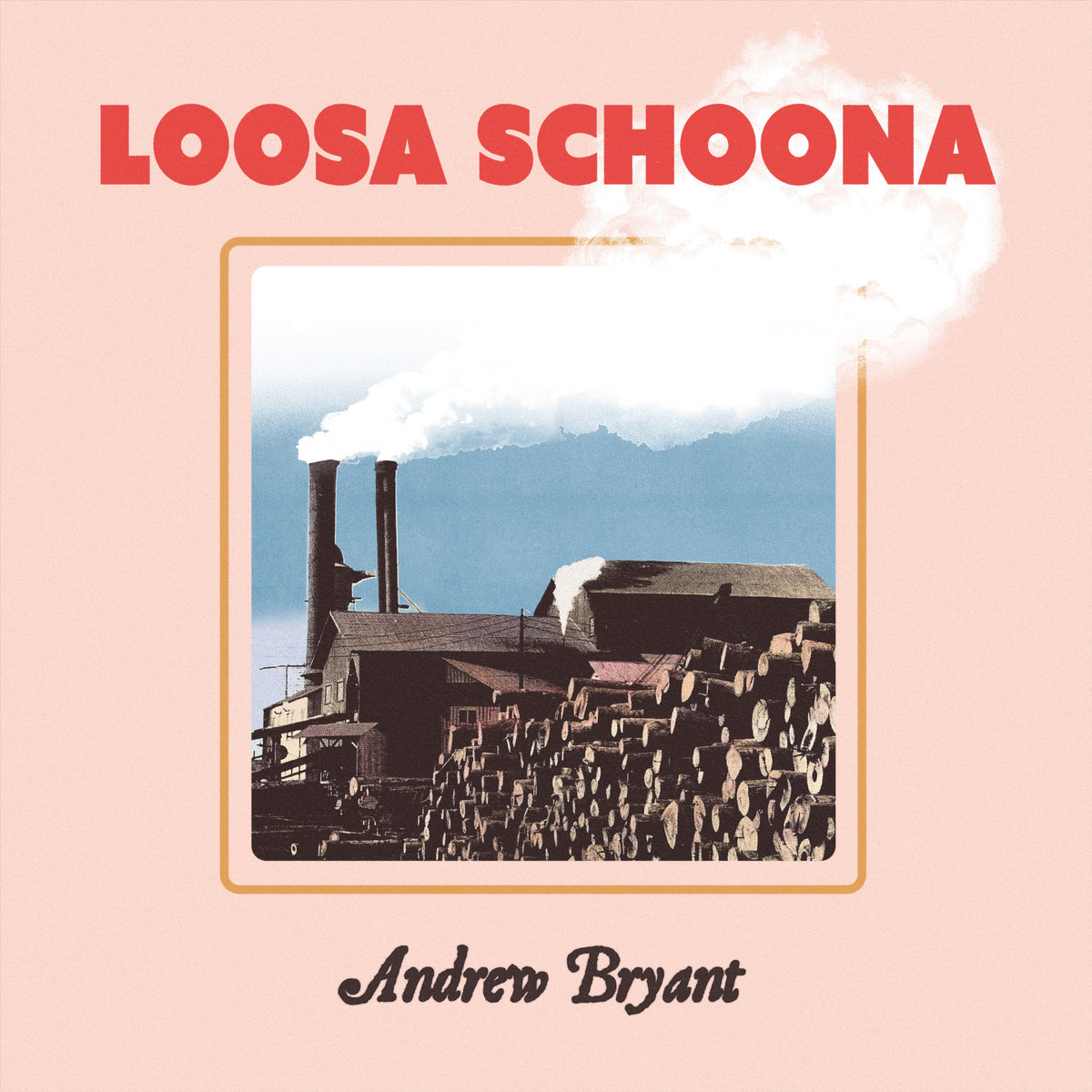 Loosa Schoona by Andrew Bryant (Album): Reviews, Ratings, Credits, Song ...