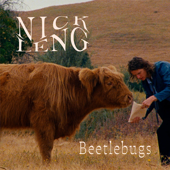 Beetlebugs by Nick Leng (Single): Reviews, Ratings, Credits, Song list ...