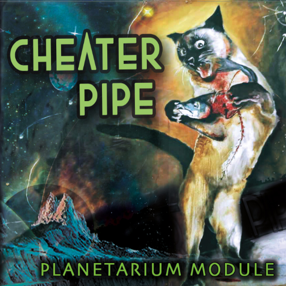 Planetarium Module by Cheater Pipe (Album): Reviews, Ratings, Credits ...