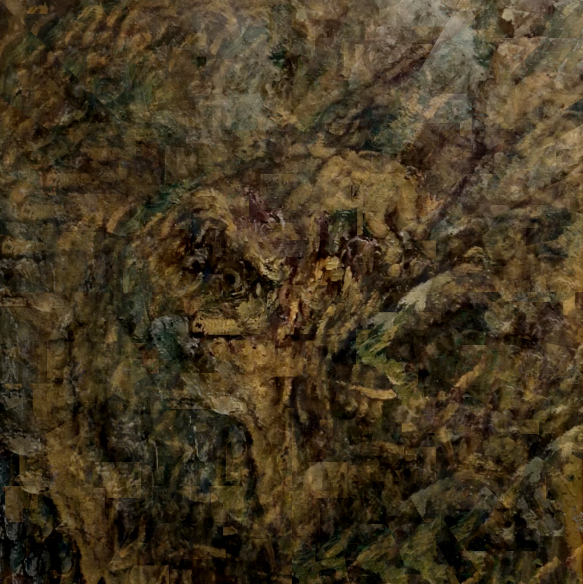 Burial Garden / Olion by Burial Garden / Olion (Album): Reviews ...