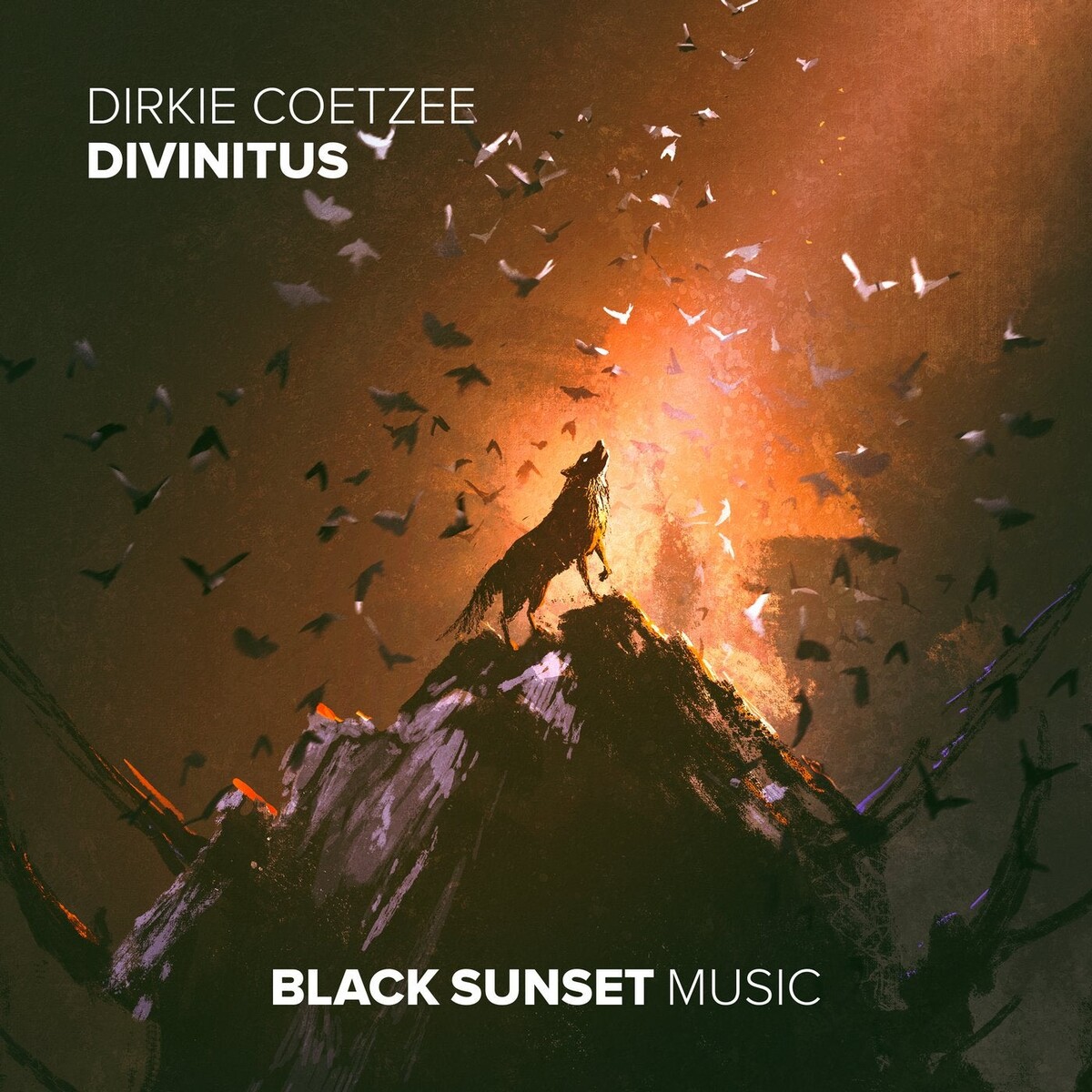 Divinitus by Dirkie Coetzee (Single): Reviews, Ratings, Credits, Song ...