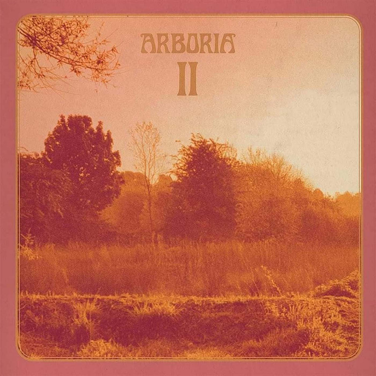 Arboria II by Arboria (Album, Ambient): Reviews, Ratings, Credits, Song ...