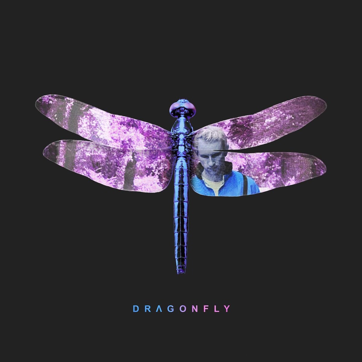 Dragonfly by Matthew Parker (Album, Electronic): Reviews, Ratings ...