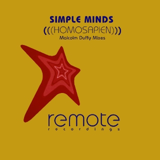 Homosapien by Simple Minds (Single): Reviews, Ratings, Credits, Song ...