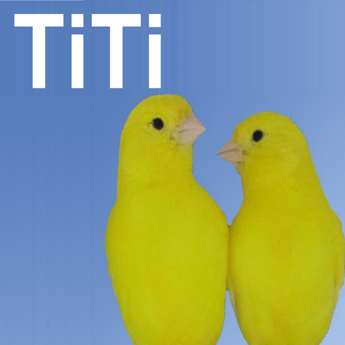TiTi Albums: songs, discography, biography, and listening guide - Rate ...