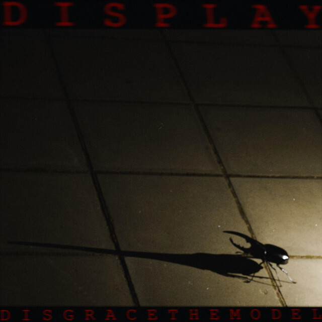 Display by Disgrace the Model (Album): Reviews, Ratings, Credits, Song ...
