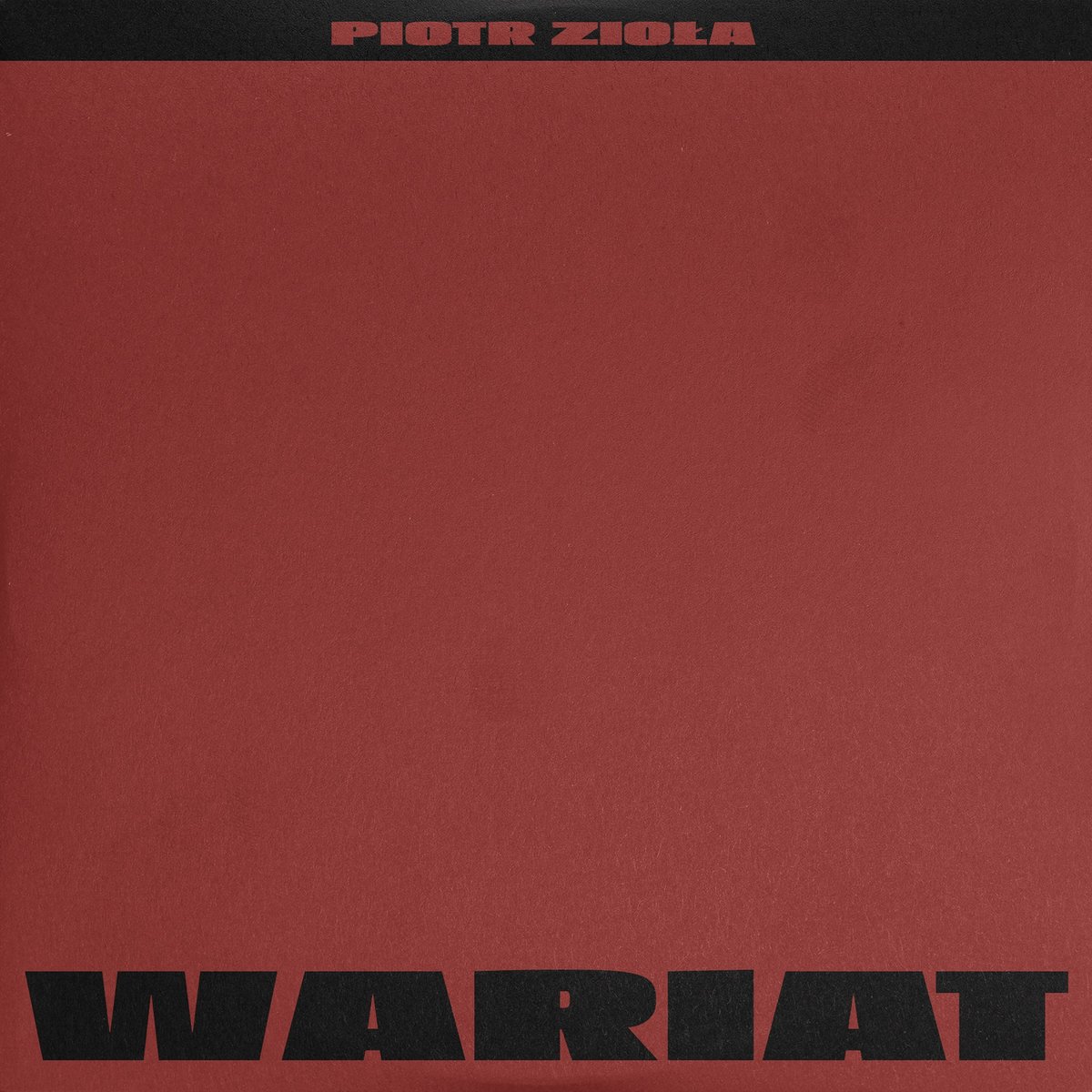 Wariat by Piotr Zioła (Album, Pop Rock): Reviews, Ratings, Credits ...