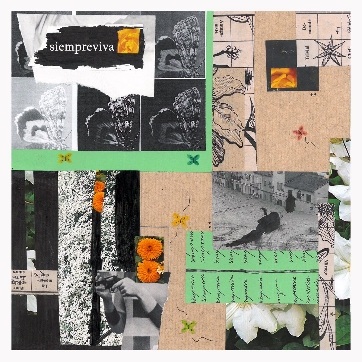 Most popular Chamber Pop additional releases of 2020 - Rate Your Music