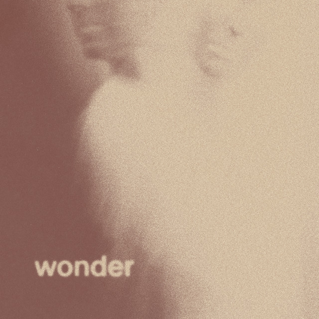 Wonder by Danger Mouse & MorMor (Single): Reviews, Ratings, Credits ...
