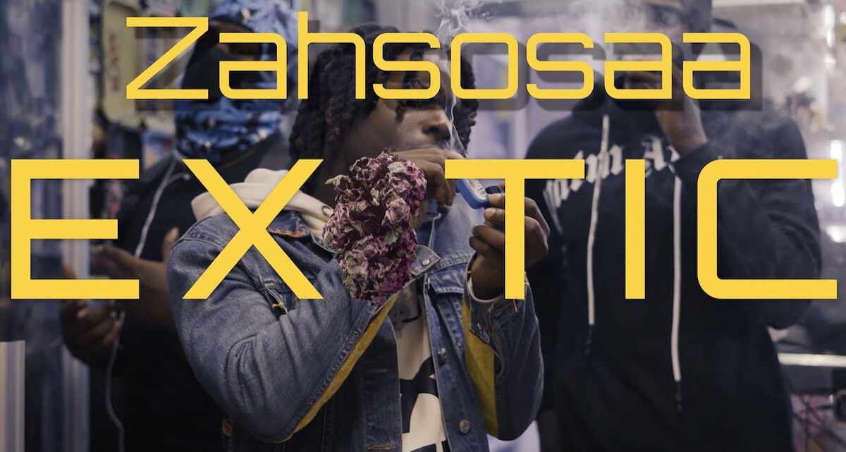 Exotic by Zahsosaa (Music video, Pop Rap): Reviews, Ratings, Credits ...