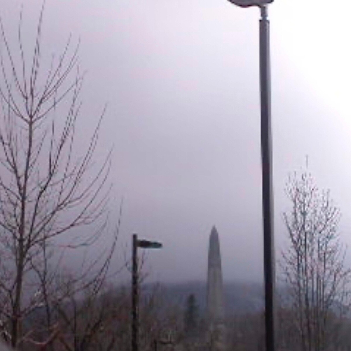 Tower by Greg Freeman (Single): Reviews, Ratings, Credits, Song list ...