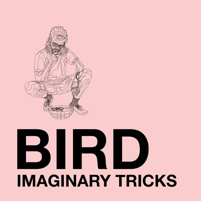 Bird by Imaginary Tricks (Single): Reviews, Ratings, Credits, Song list ...