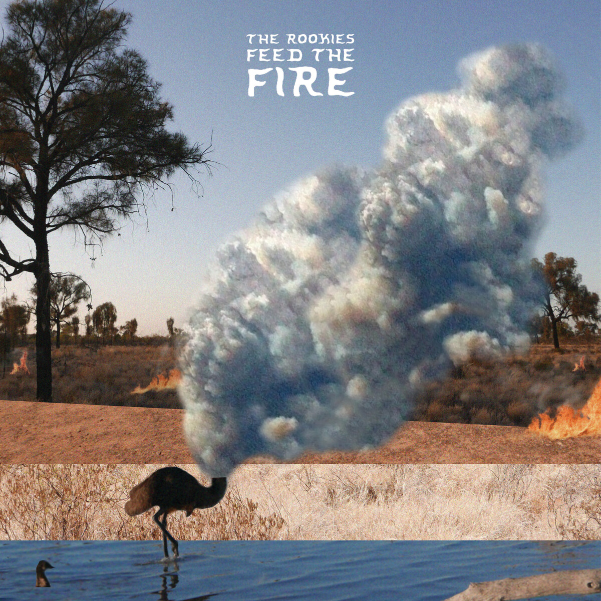 Feed the Fire by The Rookies (Album): Reviews, Ratings, Credits, Song ...