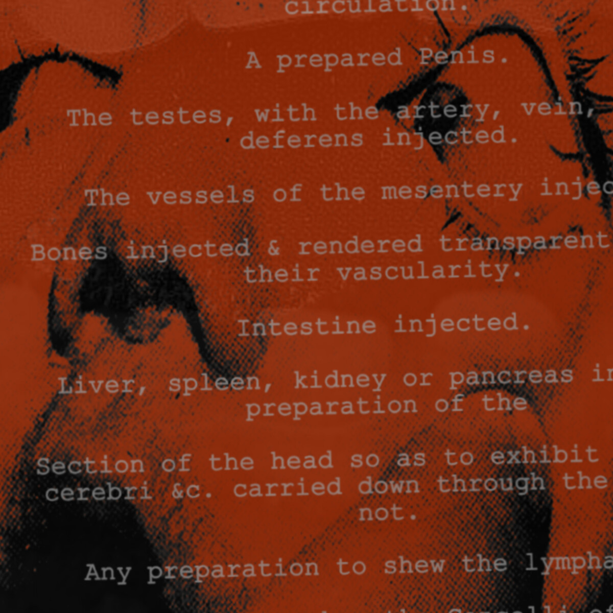 Lab Rats... by The Kelp (Album): Reviews, Ratings, Credits, Song list ...