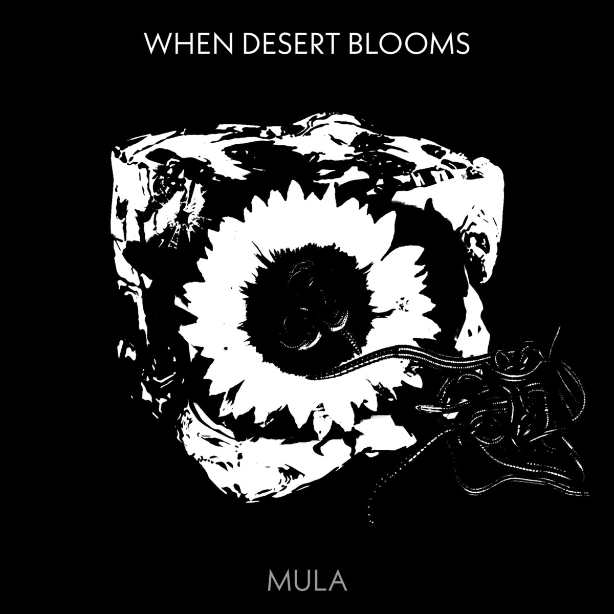 When Desert Blooms by Mula (Album, Dark Ambient): Reviews, Ratings ...