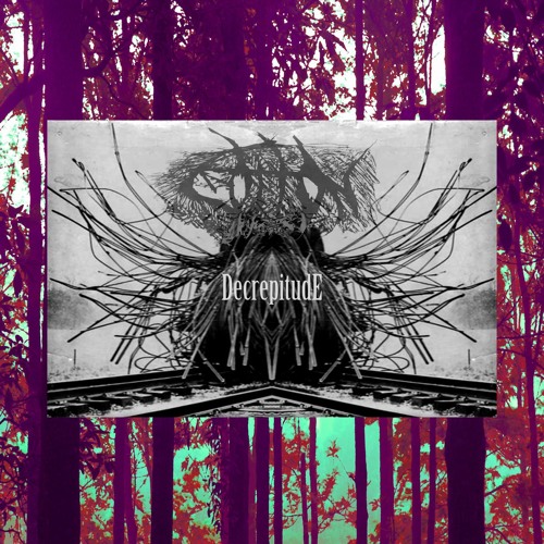 Decrepitude by Colton Skaggs (Album): Reviews, Ratings, Credits, Song ...