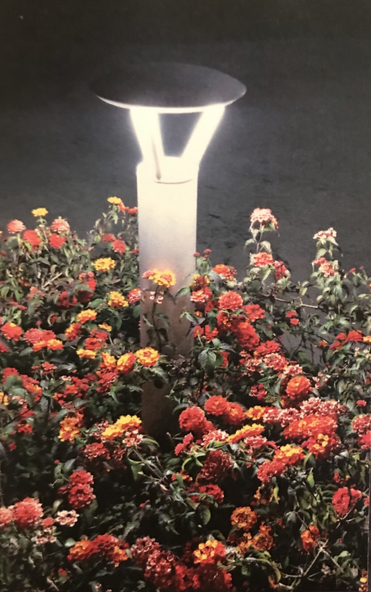 Angel 1 Albums: songs, discography, biography, and listening guide ...